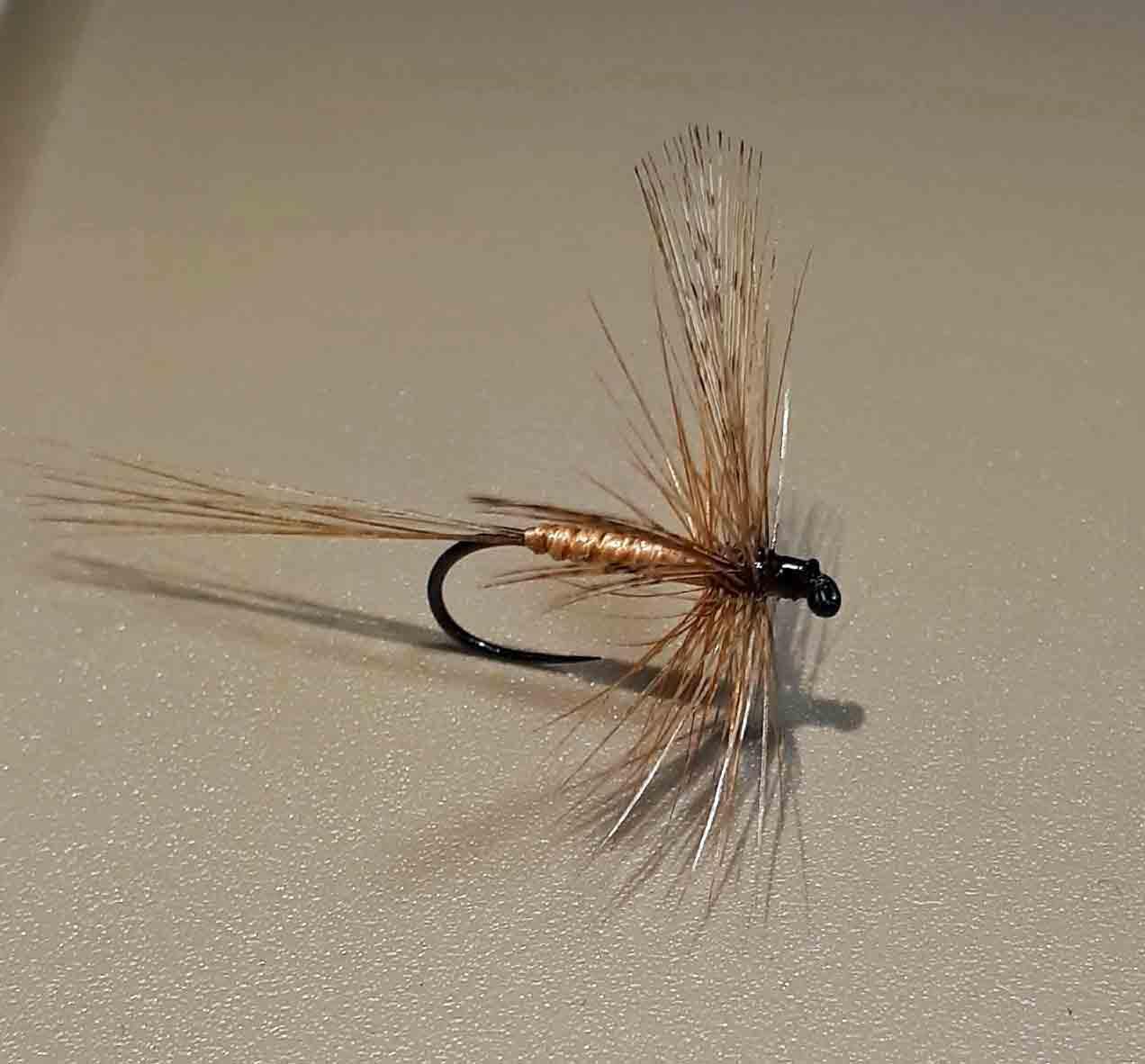 Mouche March Brown : montage et pêche | Truites & Cie
