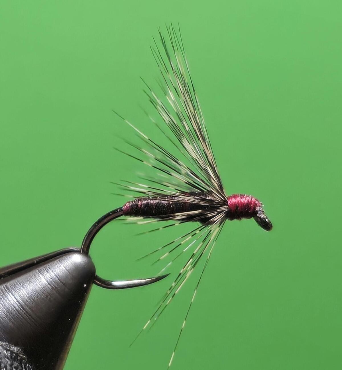 Mes mouches favorites - montage et utilisation | Truites & Cie