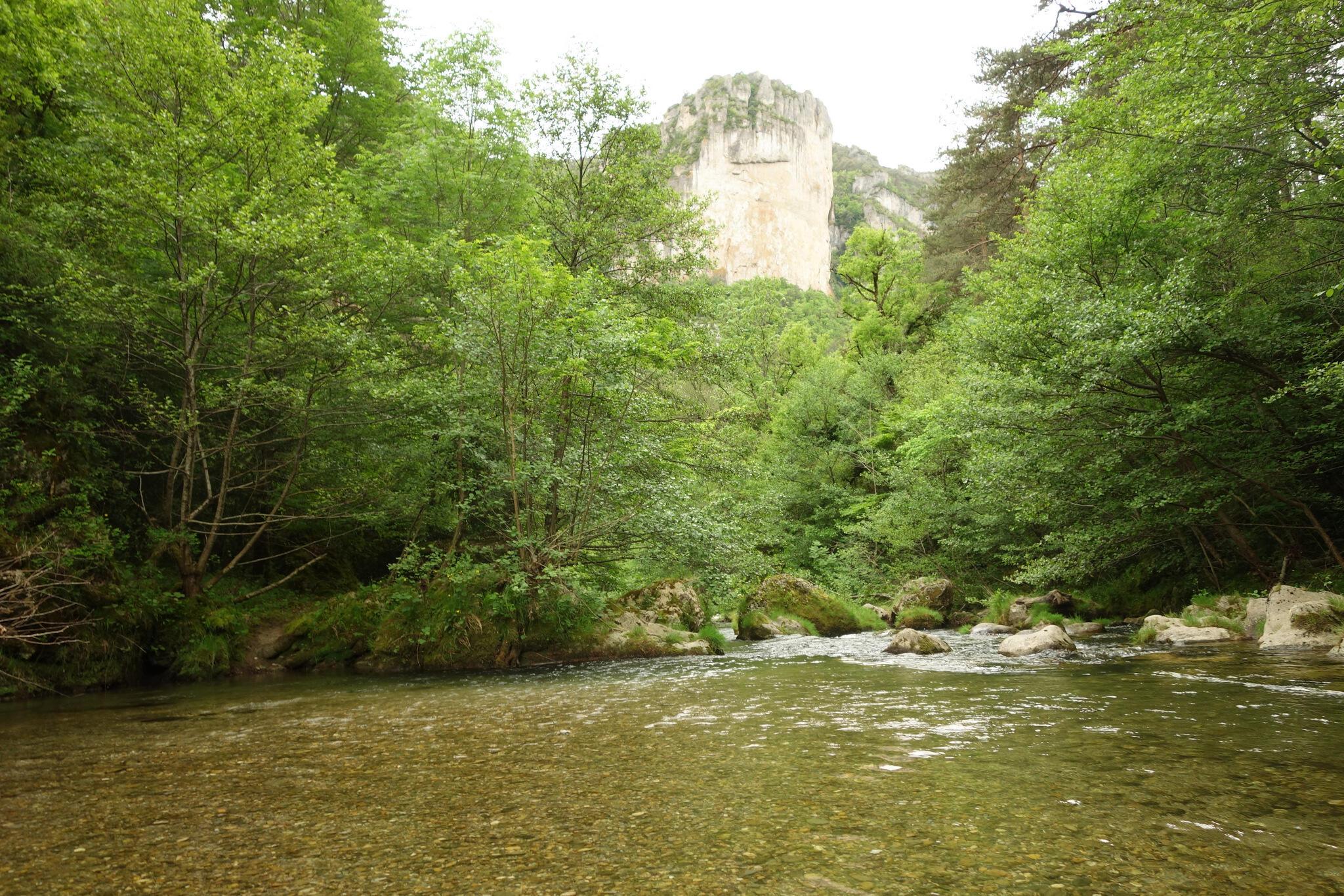 Pêche mouche sur le Tarn et la Jonte en Lozère | Truites & Cie