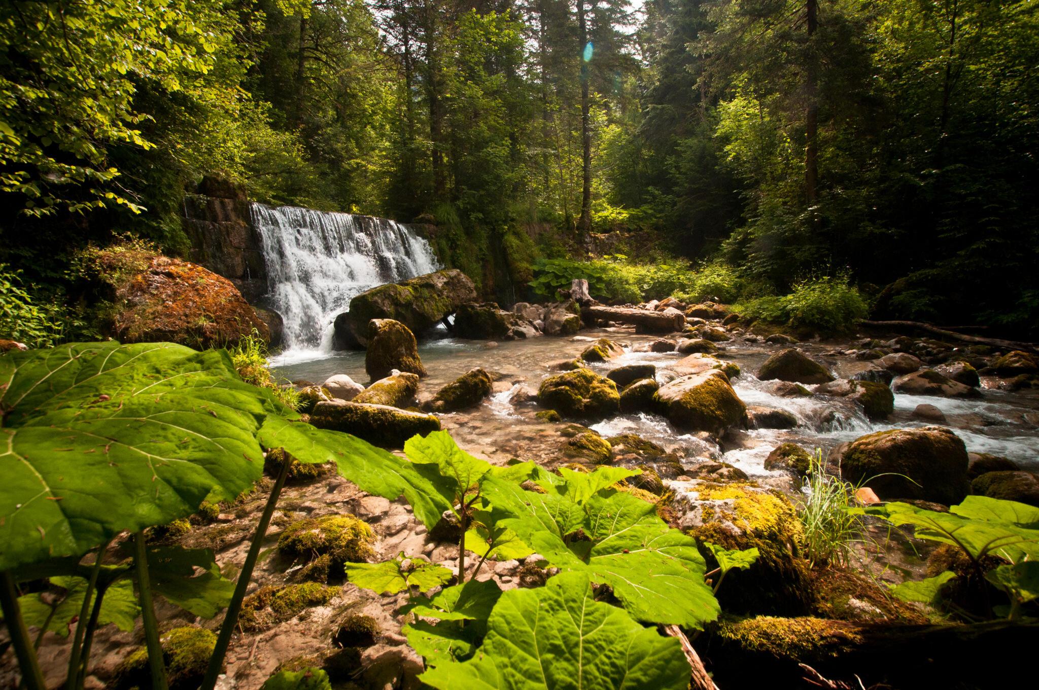 Continuité écologique, biodiversité et patrimoine hydraulique | Truites ...