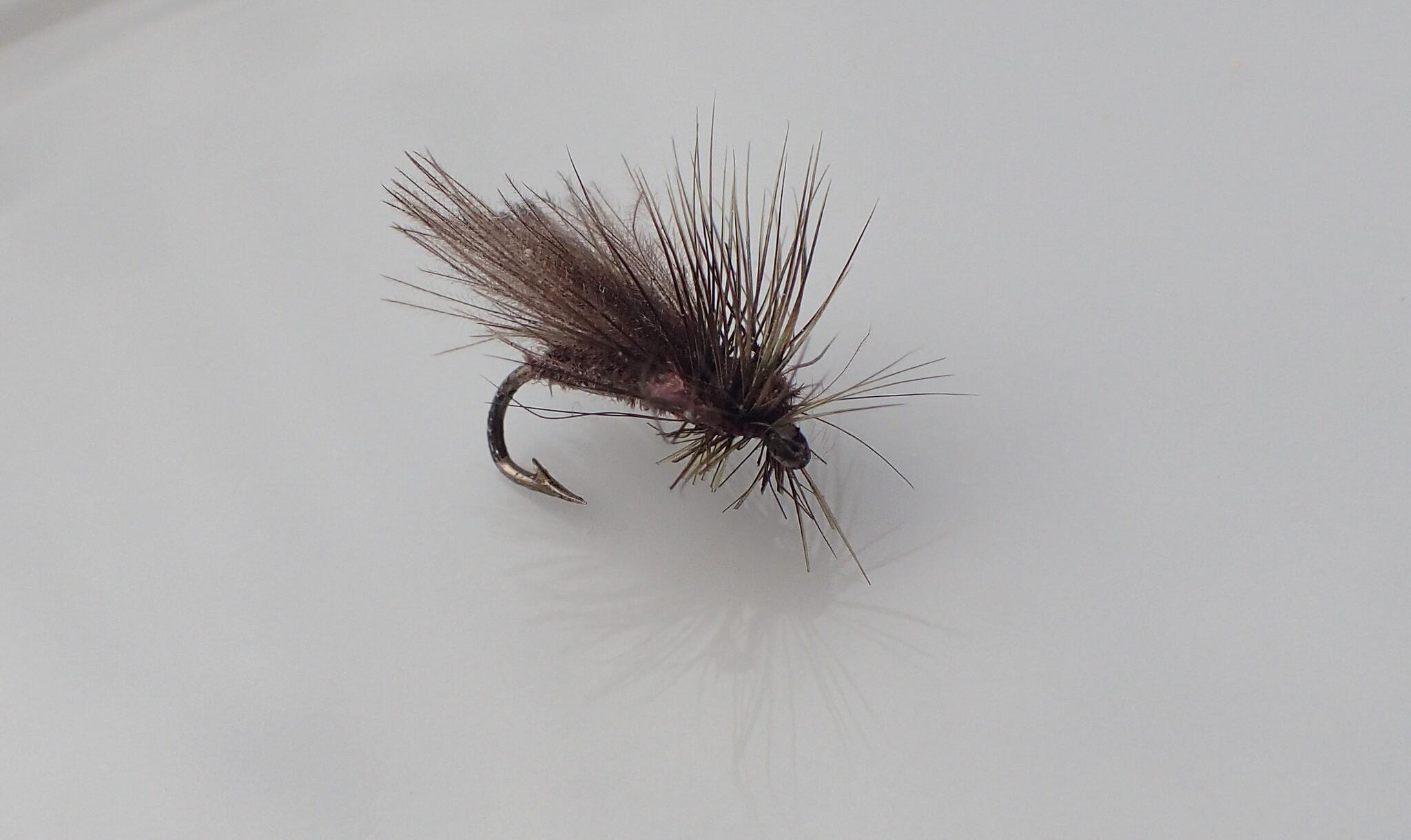 Les meilleures mouches sèches en lac de montagne | Truites & Cie