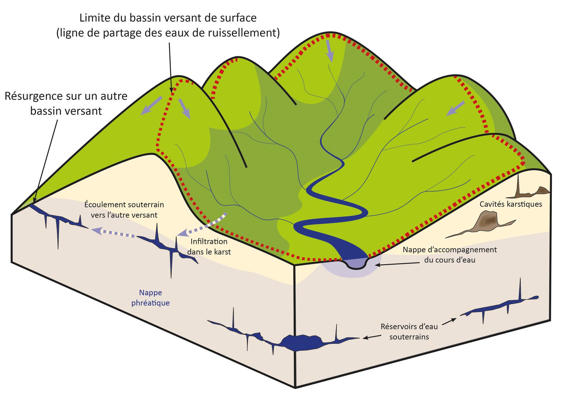 Le Bassin Versant, naissance et vie du cours d'eau | Truites & Cie