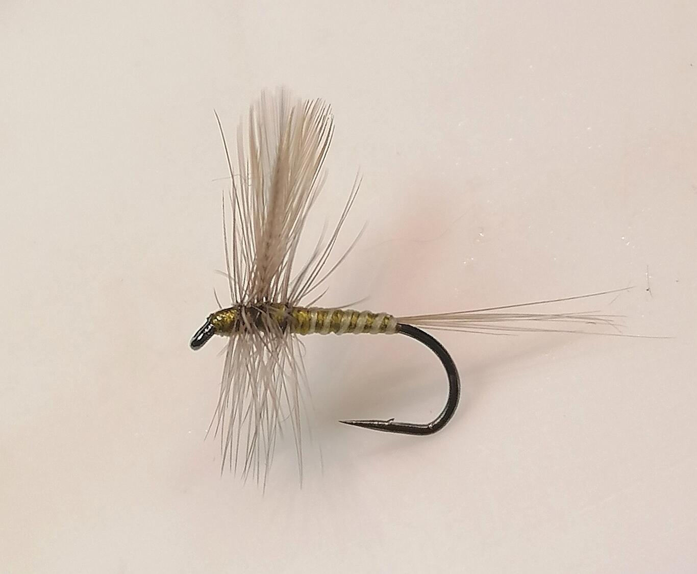 Mouche sèche : comment limiter les refus ? | Truites & Cie