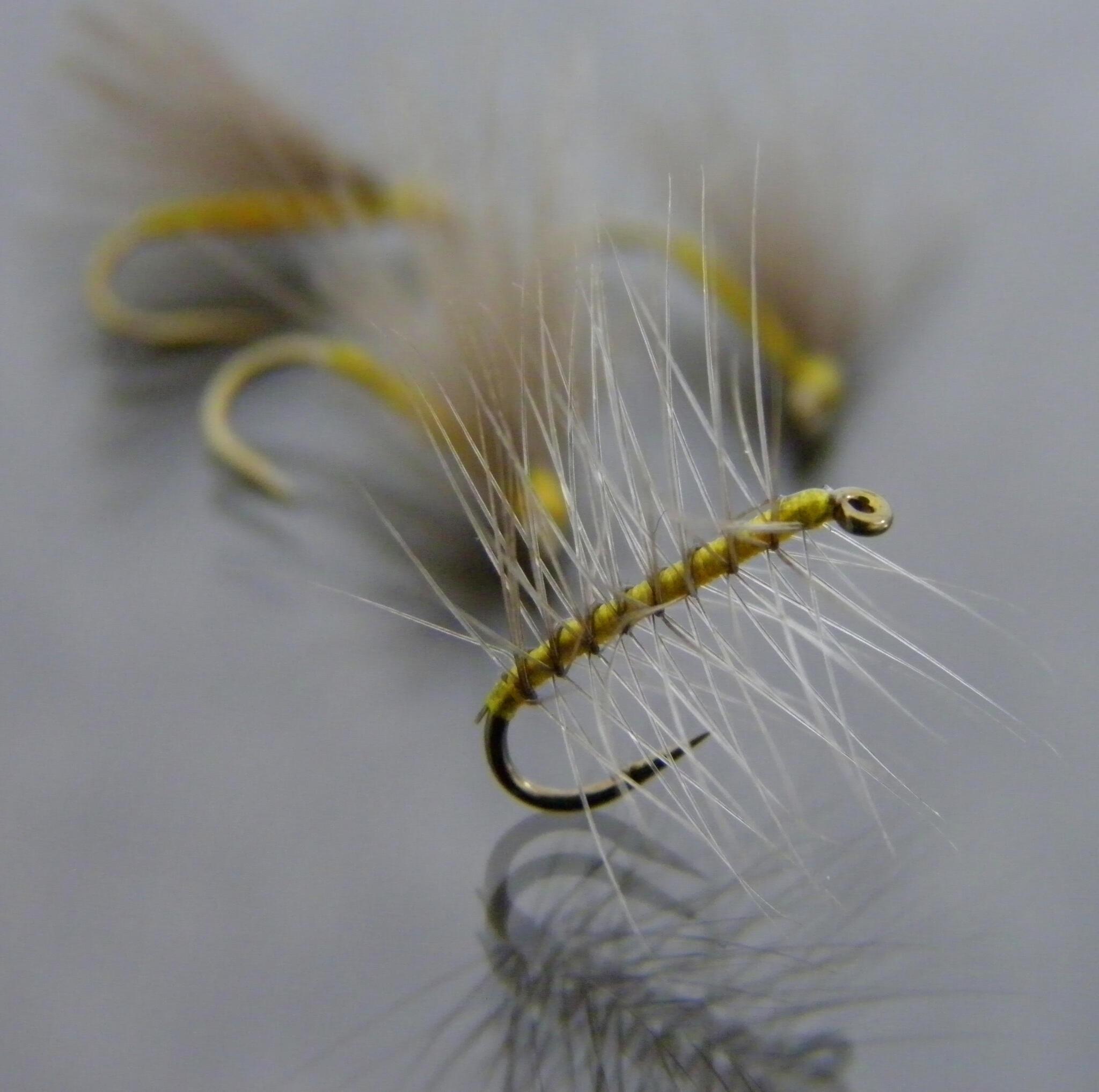 Bien débuter le montage de mouches | Truites & Cie