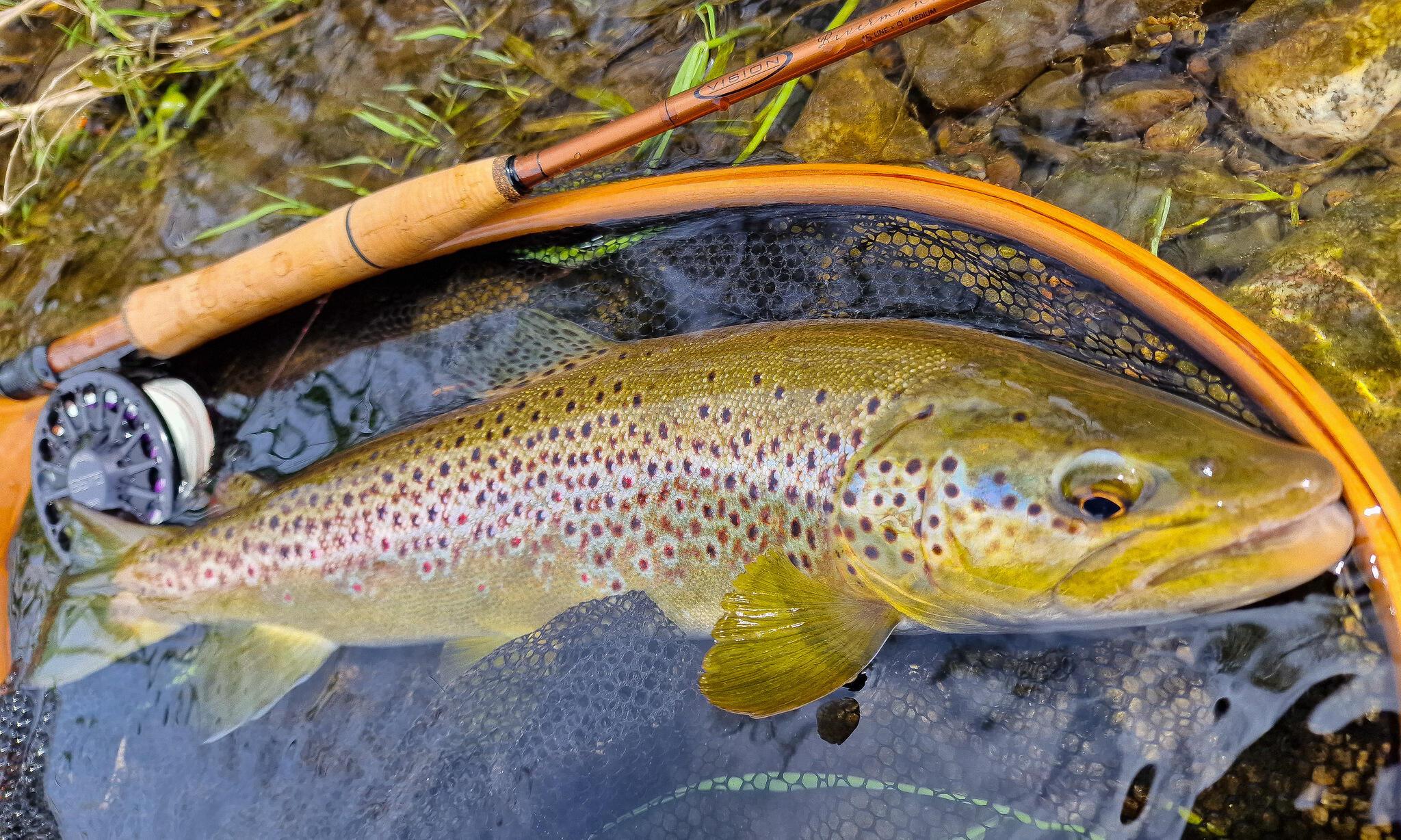 Vidéo montage de mouche : le Bubble Sedge | Truites & Cie