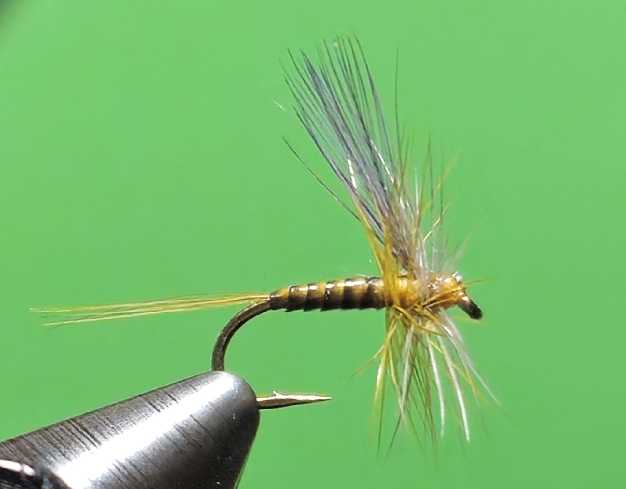 Mes mouches favorites - montage et utilisation | Truites & Cie